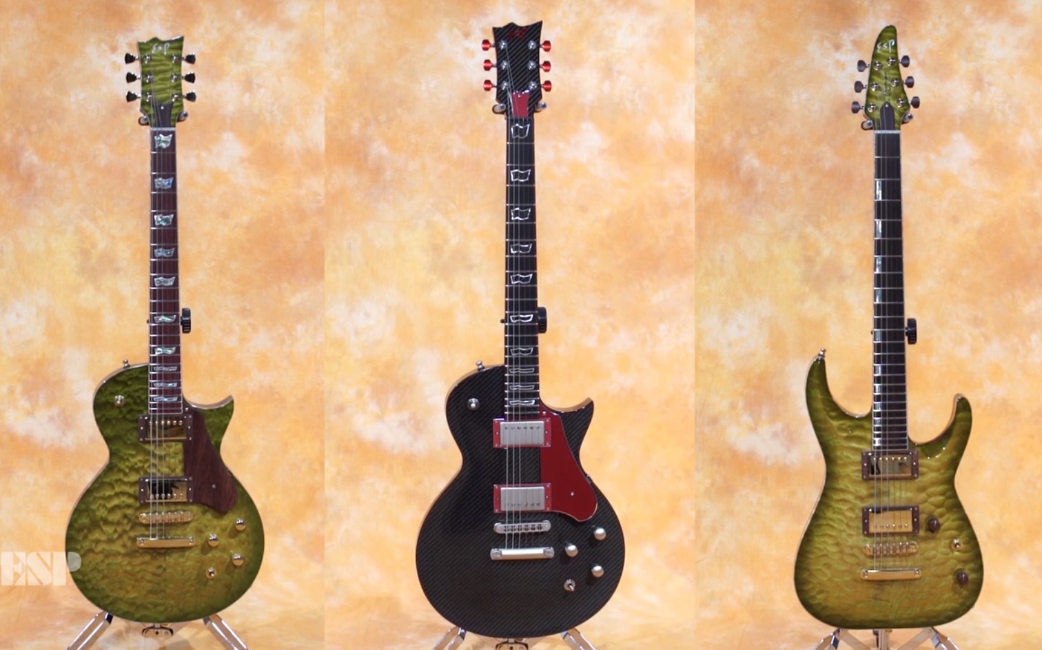 Galería de Exhibition Models de ESP | Guitarristas