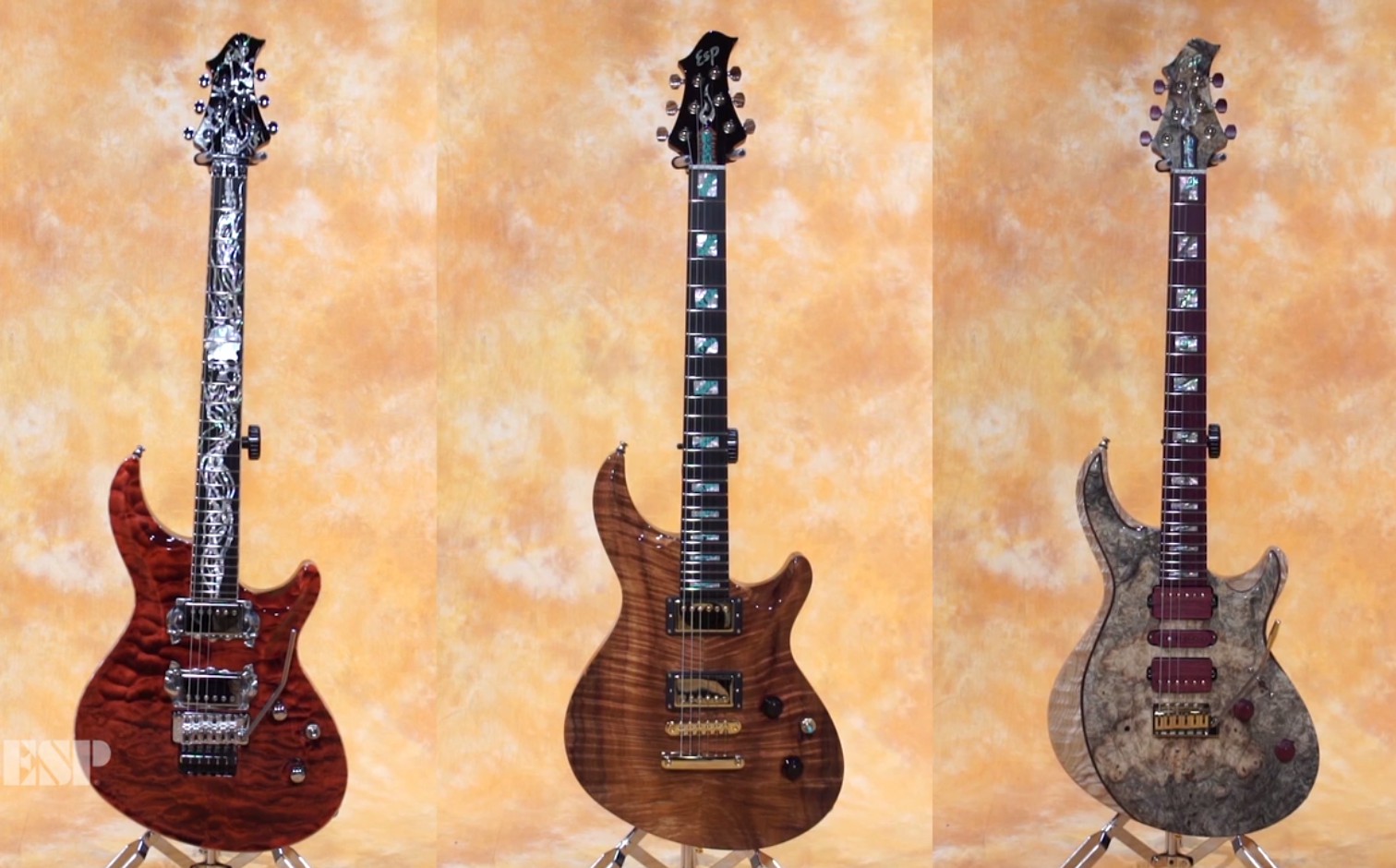 Galería de Exhibition Models de ESP | Guitarristas